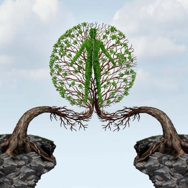 Starte deine Bewusstseinsreise für wahres inneres Wachstum